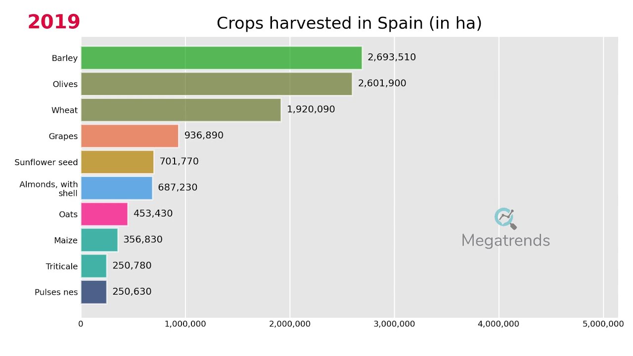 Top 10 Crops harvested in Spain (1961 - 2019) - YouTube