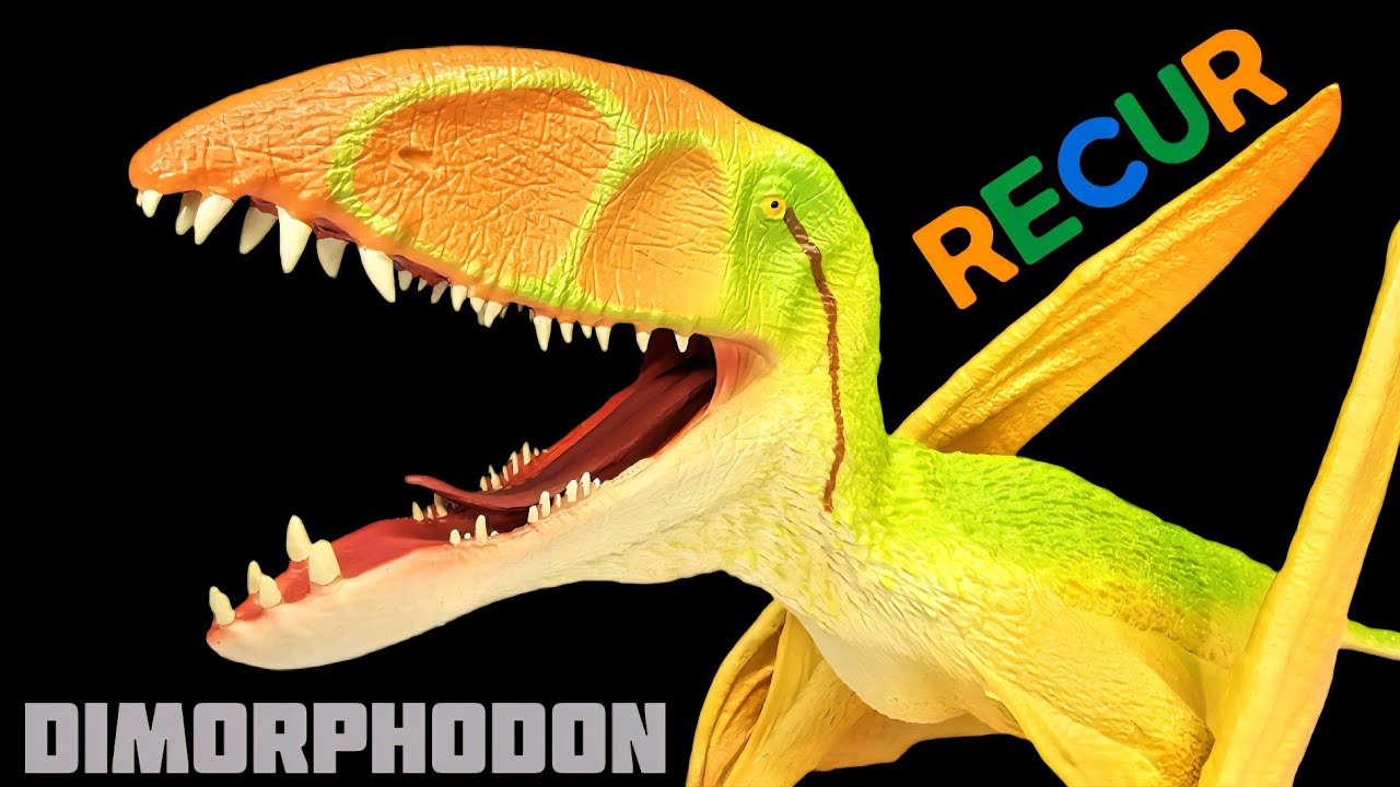 HUGE Recur 1:4 scale Dimorphodon Review!!! - YouTube