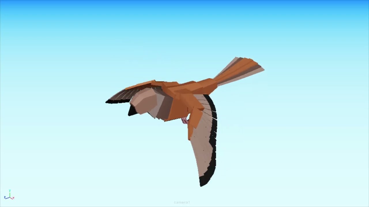 Bird Fly Loop | 3D Animation - YouTube