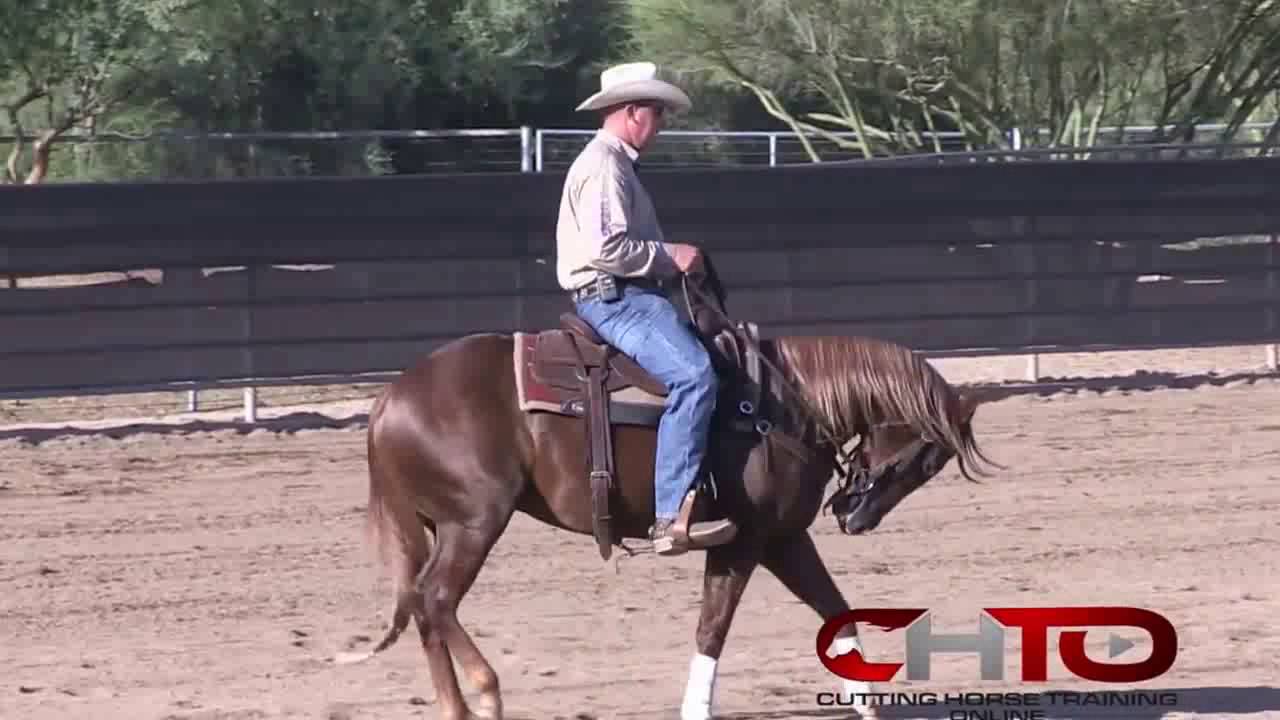 How To Teach A Horse To Stop with Corey Cushing | first cordless drill ...