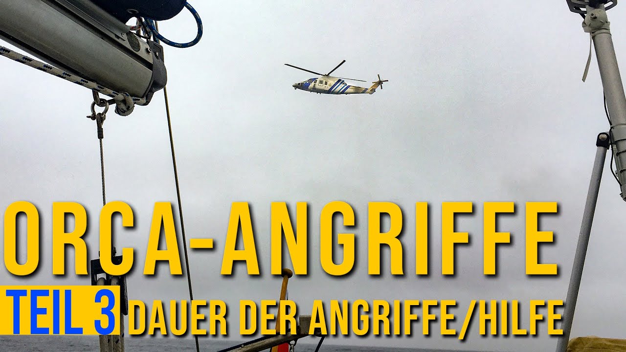 ORCA-ANGRIFFE. Teil 3. Erfahrungen und Sichtweise eines BETROFFENEN ...