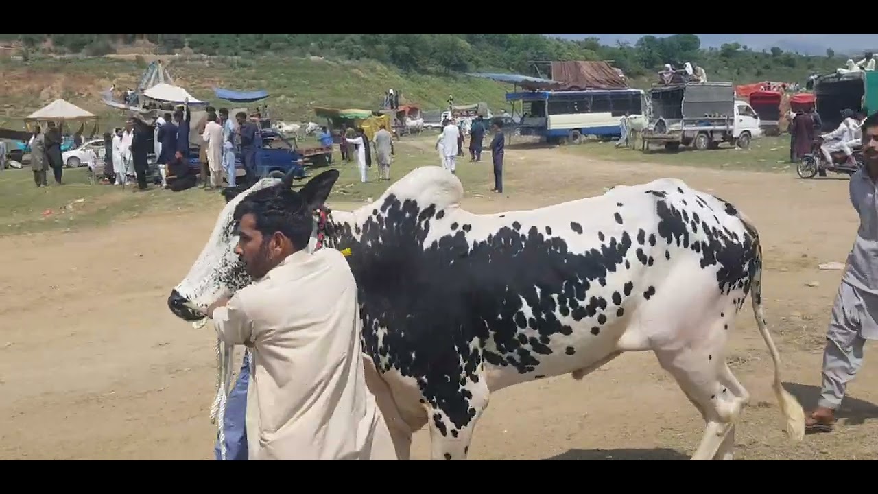 chakswari Punjabi ke Mukam per Danton Ka Mela - YouTube