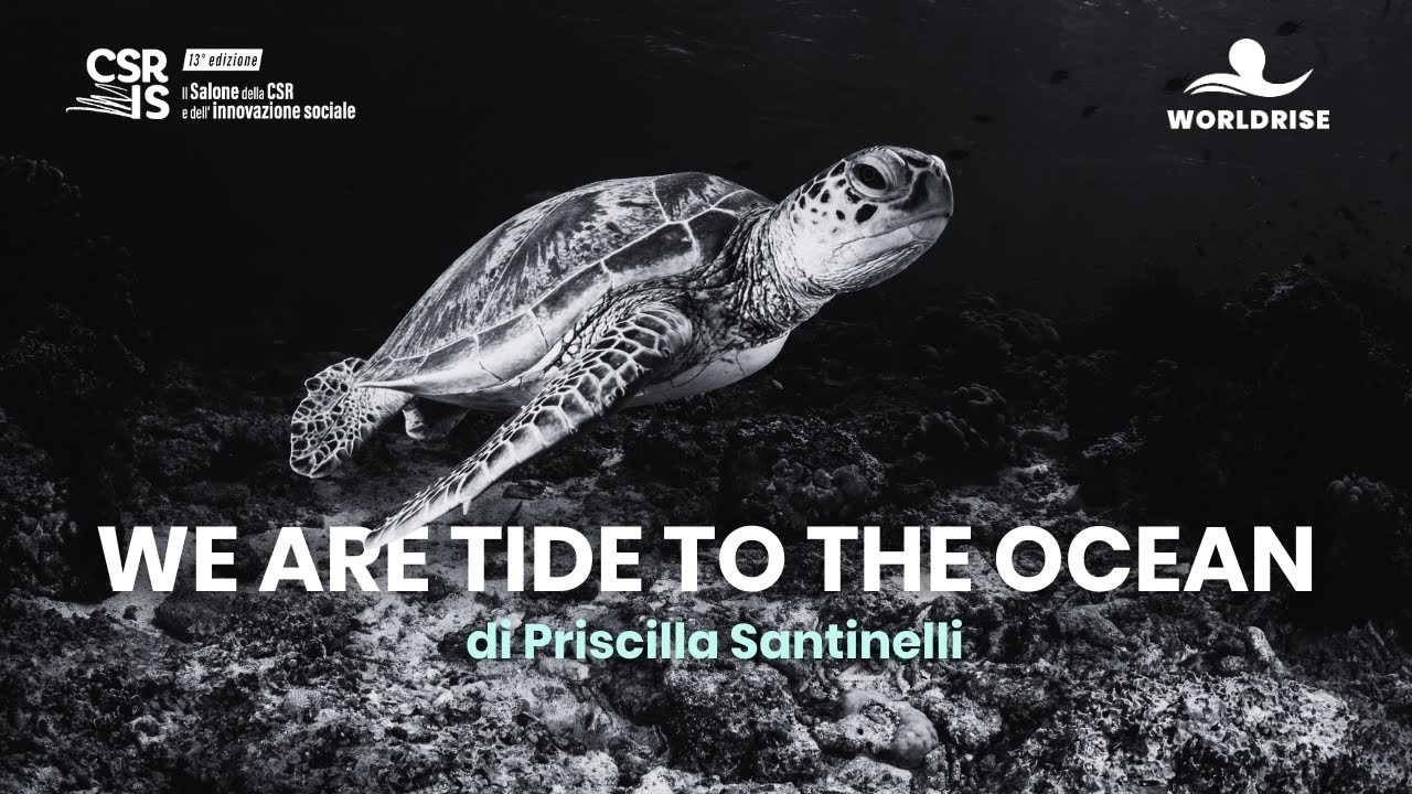 WE ARE TIED TO THE OCEAN - Priscilla Santinelli - YouTube