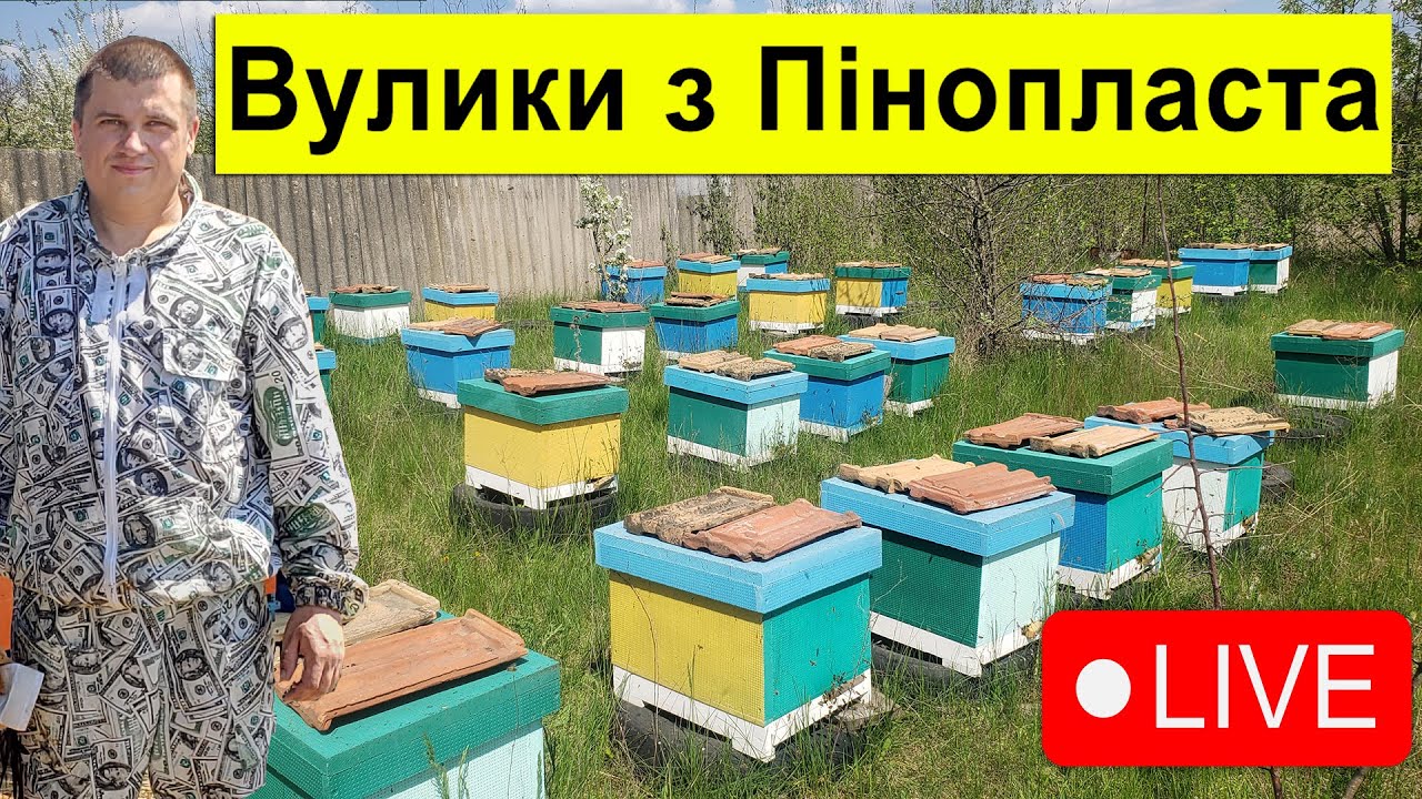 Навіщо Вулики 6-8 рамок з ППС ? Стрім 🐝 Бджільництво - YouTube