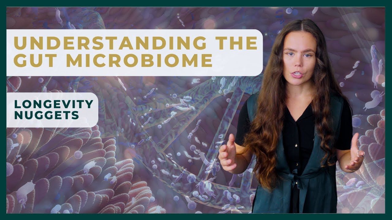 Understanding the Gut Microbiome | Longevity Nuggets - YouTube