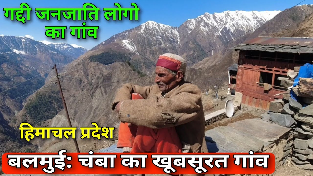 Balmui A Beautiful Village Of Gaddis Tribe | Chamba,Himachal Pradesh ...
