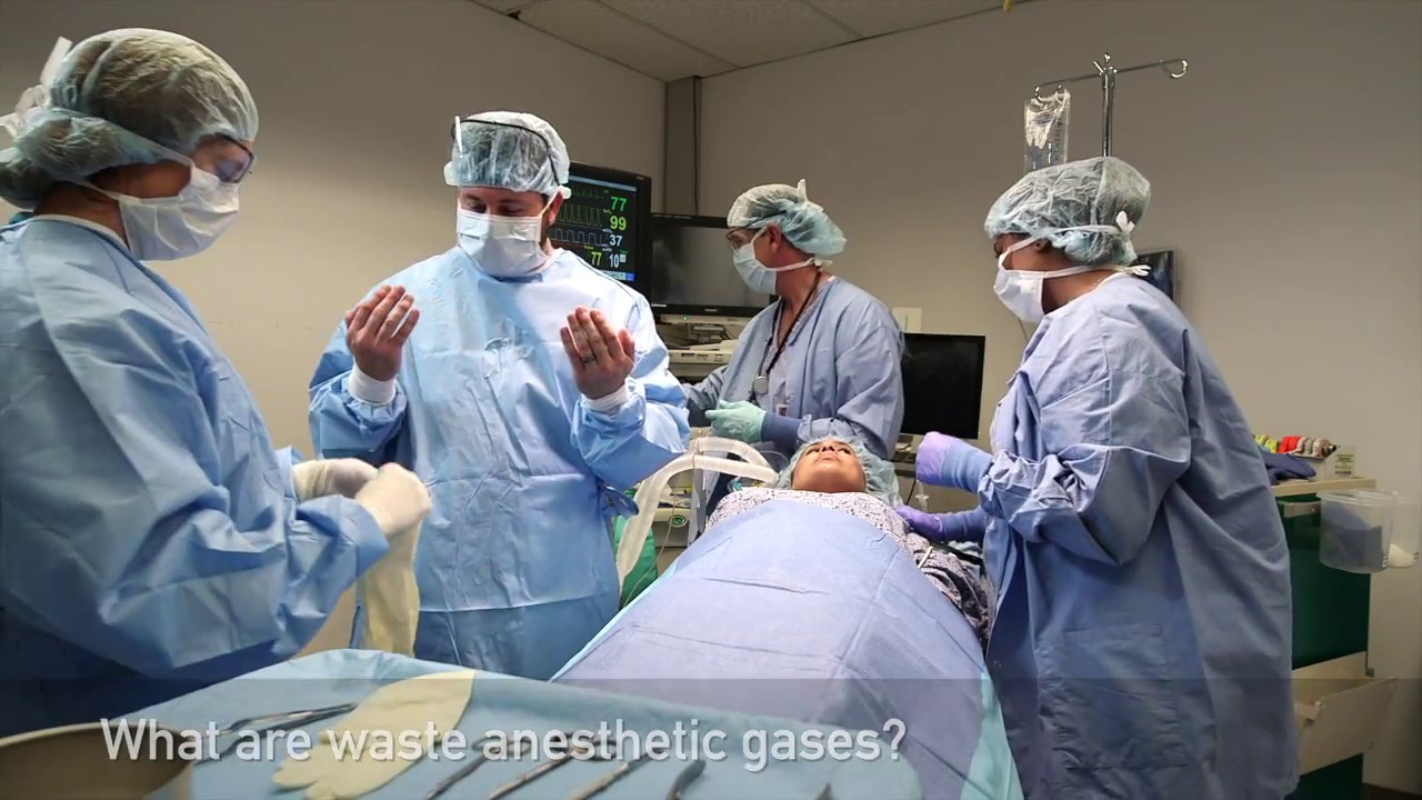 Waste Anesthetic Gases Management - YouTube