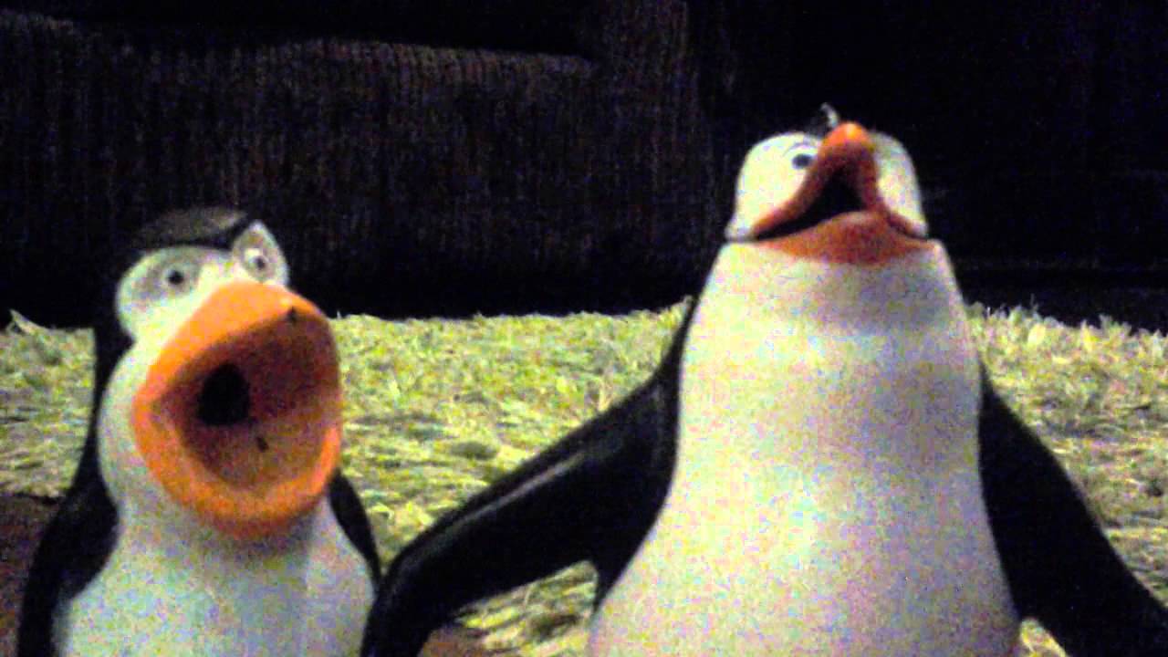 Pingu's Bedtime Shadows - YouTube