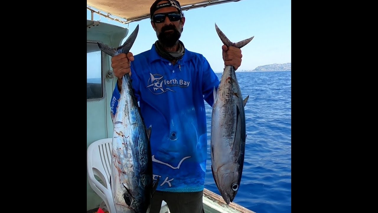 טונות אלבקור ושחורות. black and big aye tuna fishing - YouTube