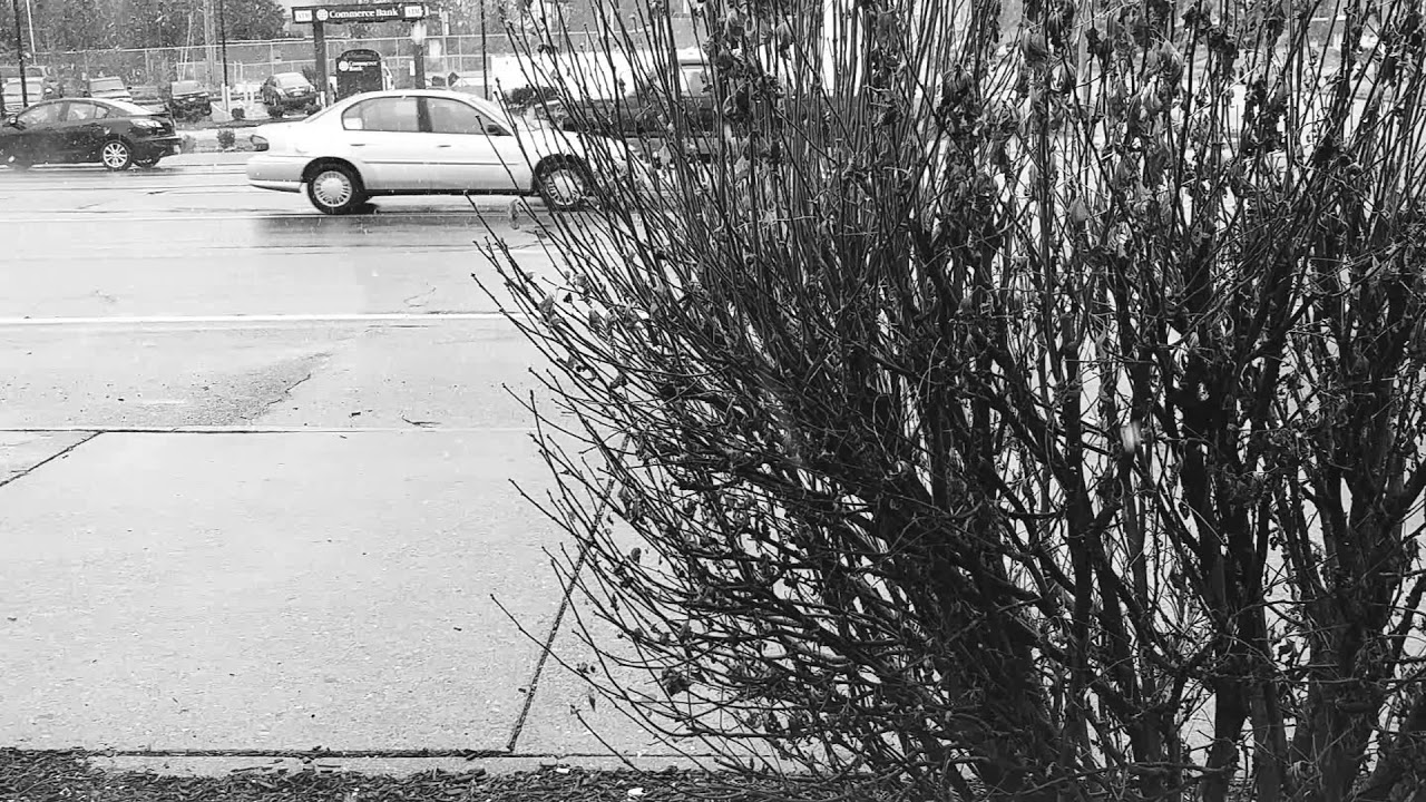 Snowfall At The Julia Davis Library - YouTube