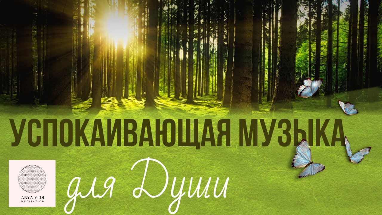 Успокаивающая музыка Музыка для Души 60 минут релакса Youtube