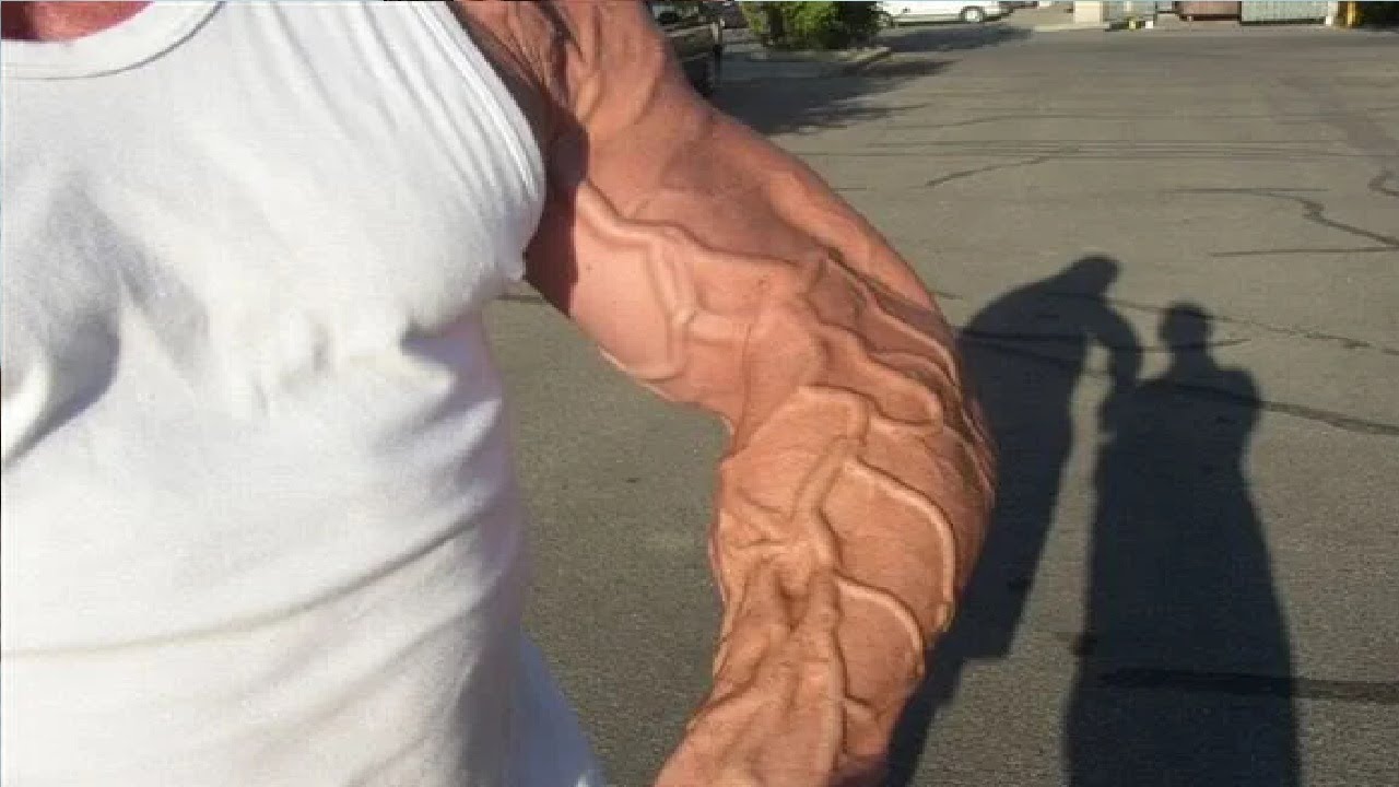 how to get veins to pop out of your arms - Intense arm workout - YouTube