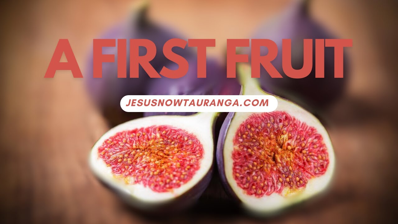 A First Fruit: Crazy Joy - YouTube