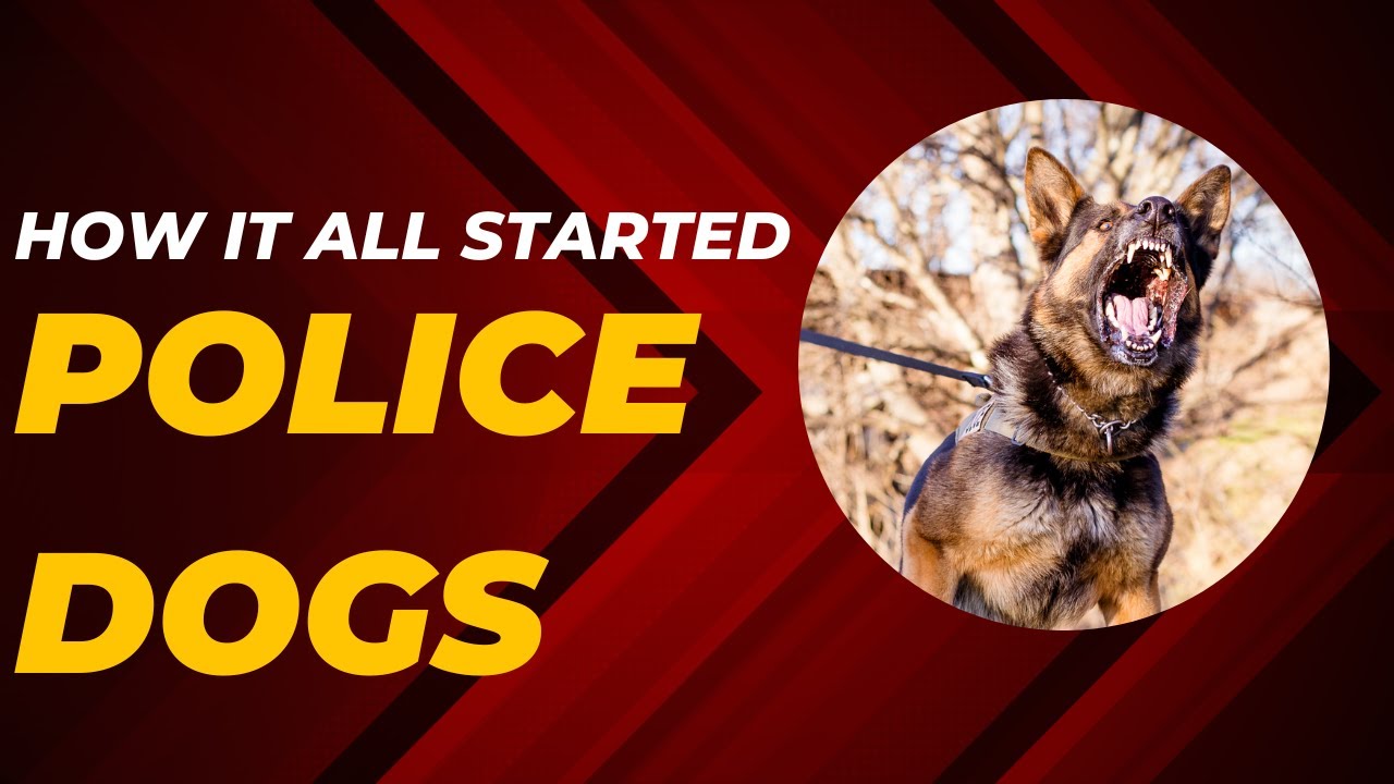 Behind the Badge: The History of Police Dogs - YouTube