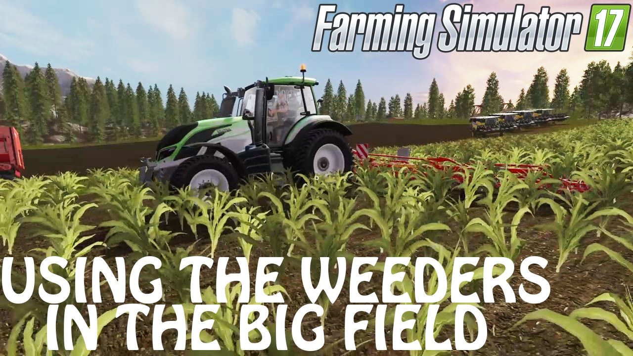 Using Weeders To Fertilize The Big Field in Farming Simulator 2017 ...