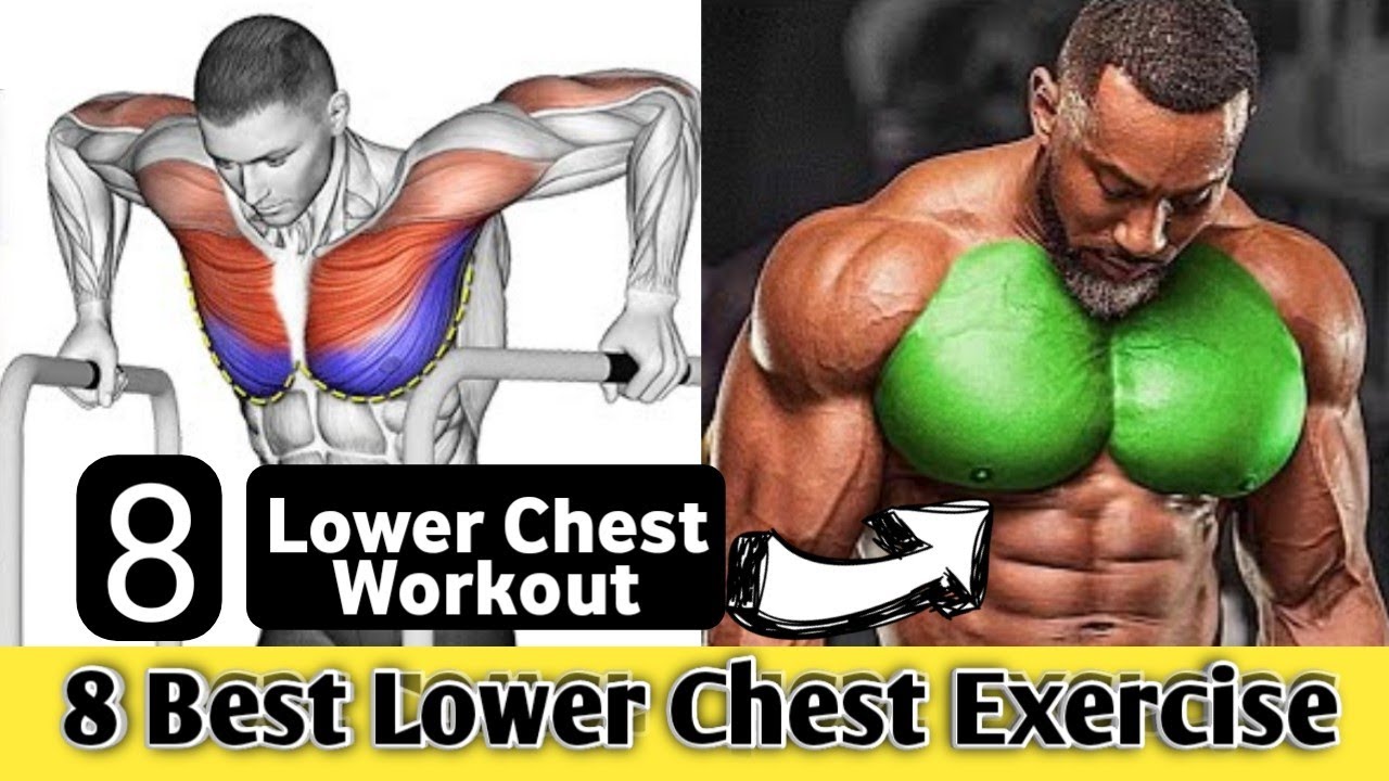 8 Best Lower Chest Exercise - Workout Desire - YouTube