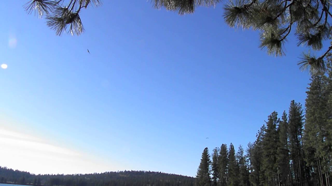 Owhi Lake 11 20 2015 - YouTube