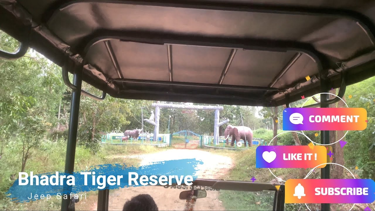 Bhadra tiger reserve wildlife sanctuary lakkavalli safari entrance jeep ...