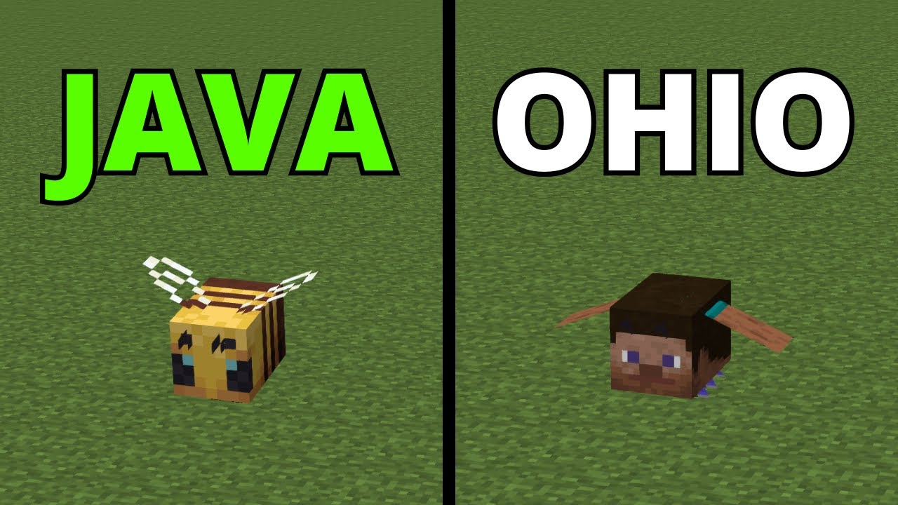 java vs ohio compilation - YouTube