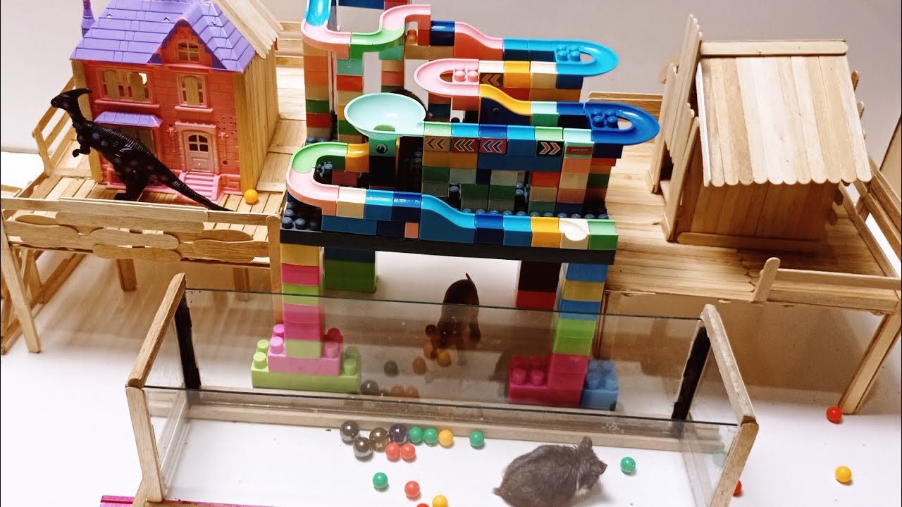 Marble Race Asmr ⛧ Very satisfying hamster playing on a slide of ...