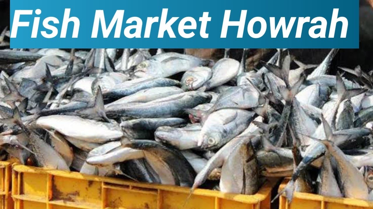 Fish Market || Kolkata Ka Biggest Fish Market || Near Howrah Station ...