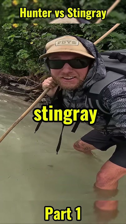 Pro Hunter VS Stingray Part 1 - @FieldDays - YouTube