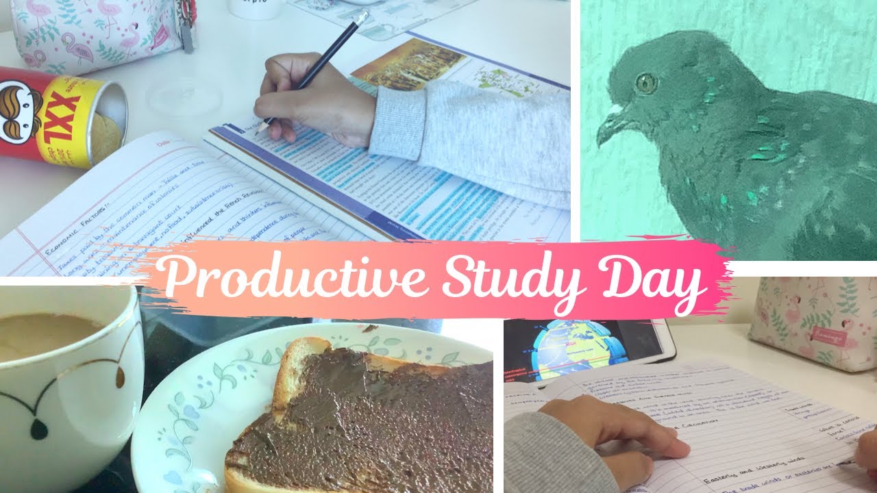 My Productive Study Day📖 | Study Day Vlog 2020 | study day in my life ...