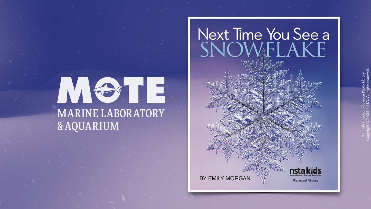 NSTA Kids - Next Time You See A Snowflake - Excerpt - YouTube