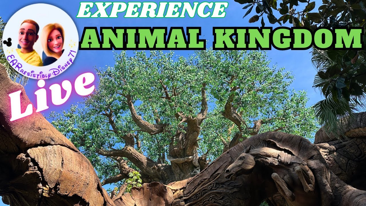 🔴EXPERIENCE WALT DISNEY WORLD LIVE! WITH BARB & NICK FROM ANIMAL ...