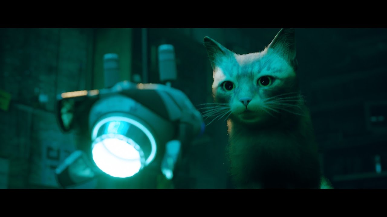 Trying to love me — Stray montage - YouTube