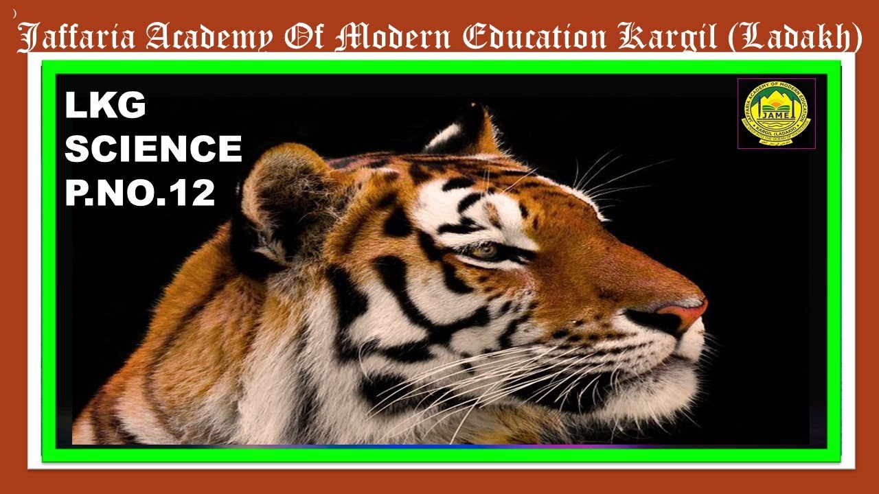 LKG Science p no 12 - YouTube