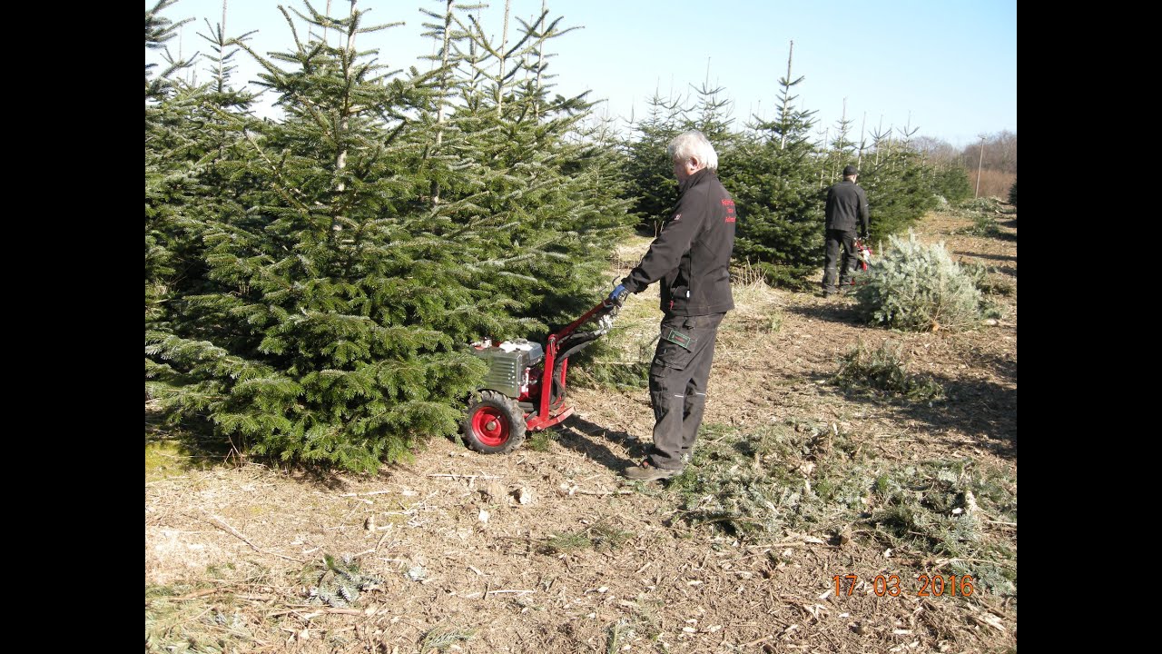 Christmas Tree Cutter from Treepacker - YouTube