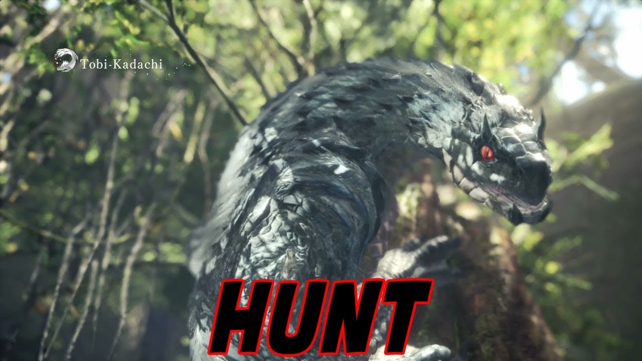 Hunting The Tobi Kadachi MHW - YouTube