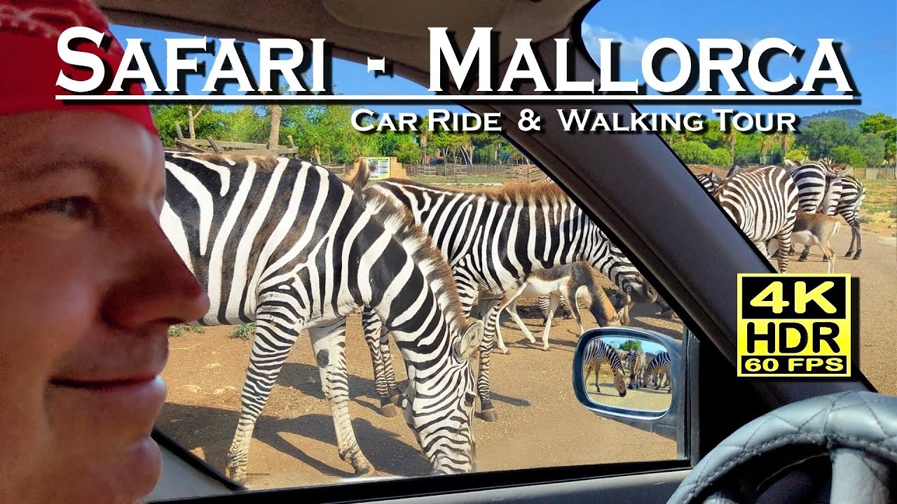 Safari Zoo Mallorca , Spain 4K 60fps HDR (UHD) Dolby Atmos 💖 Safari Car ...