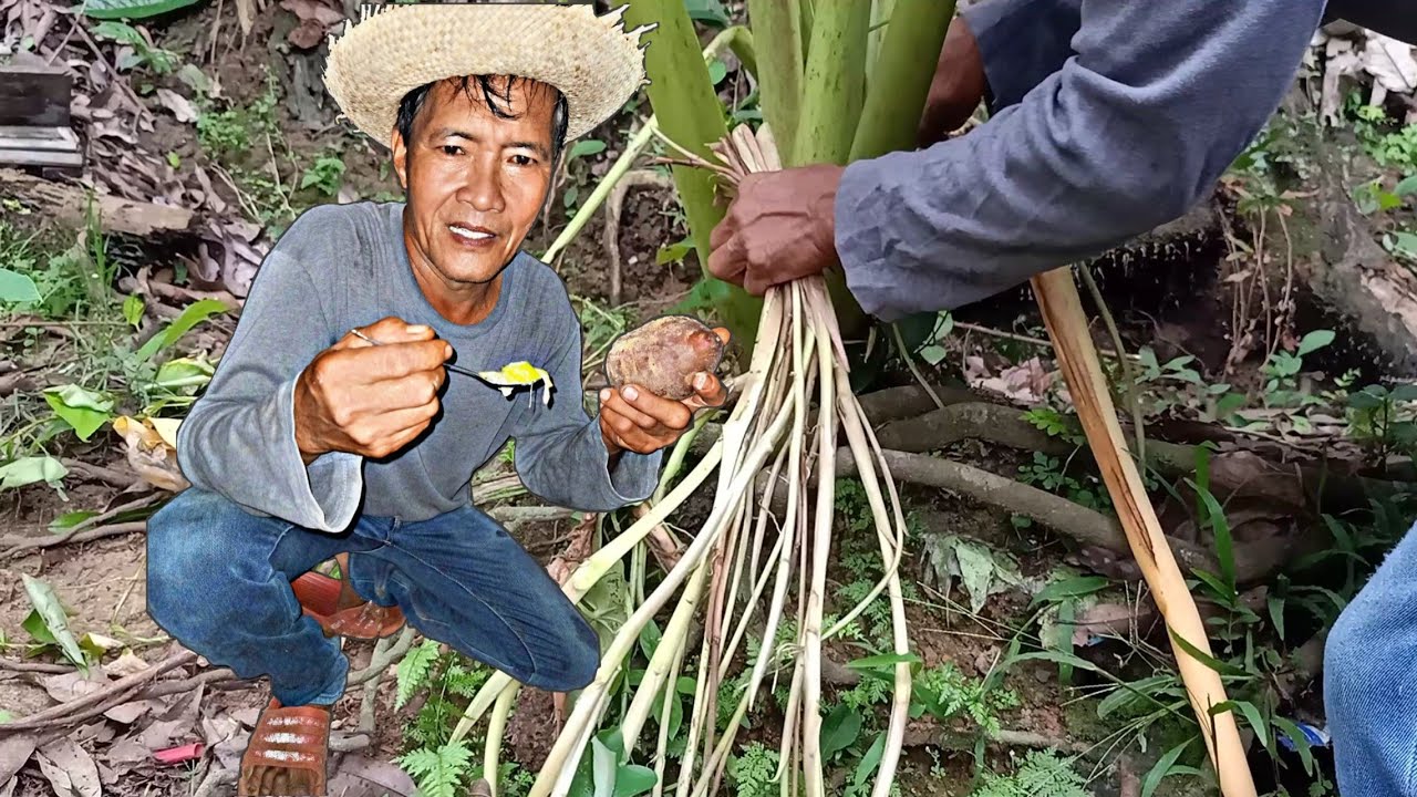 Takway | How to cook Raw Taro Shoots | Taro runner shoots | Ginataang ...