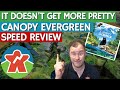 Canopy: Evergreen | Board Game | BoardGameGeek