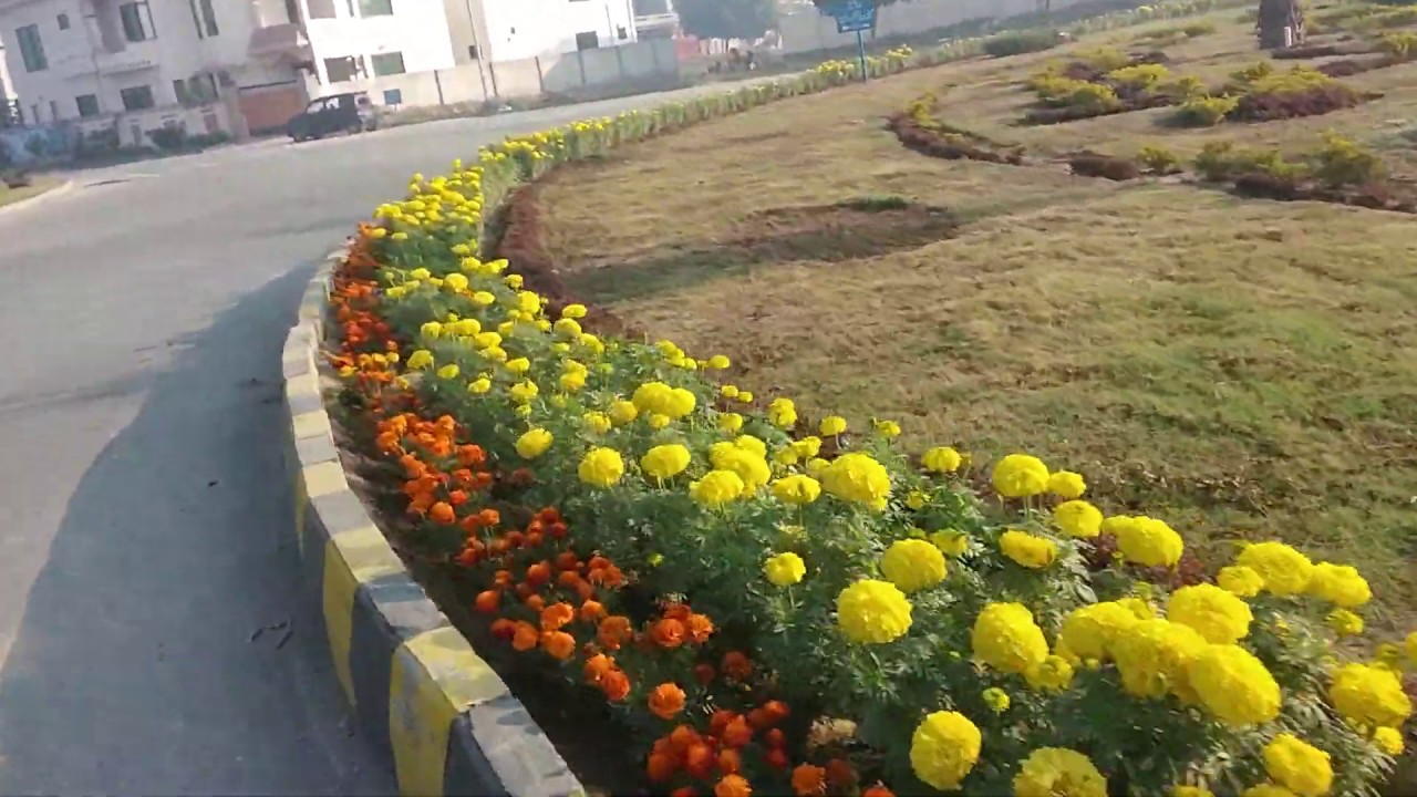 Beautiful Roads Of Pakistan | Amazing Flowers - YouTube