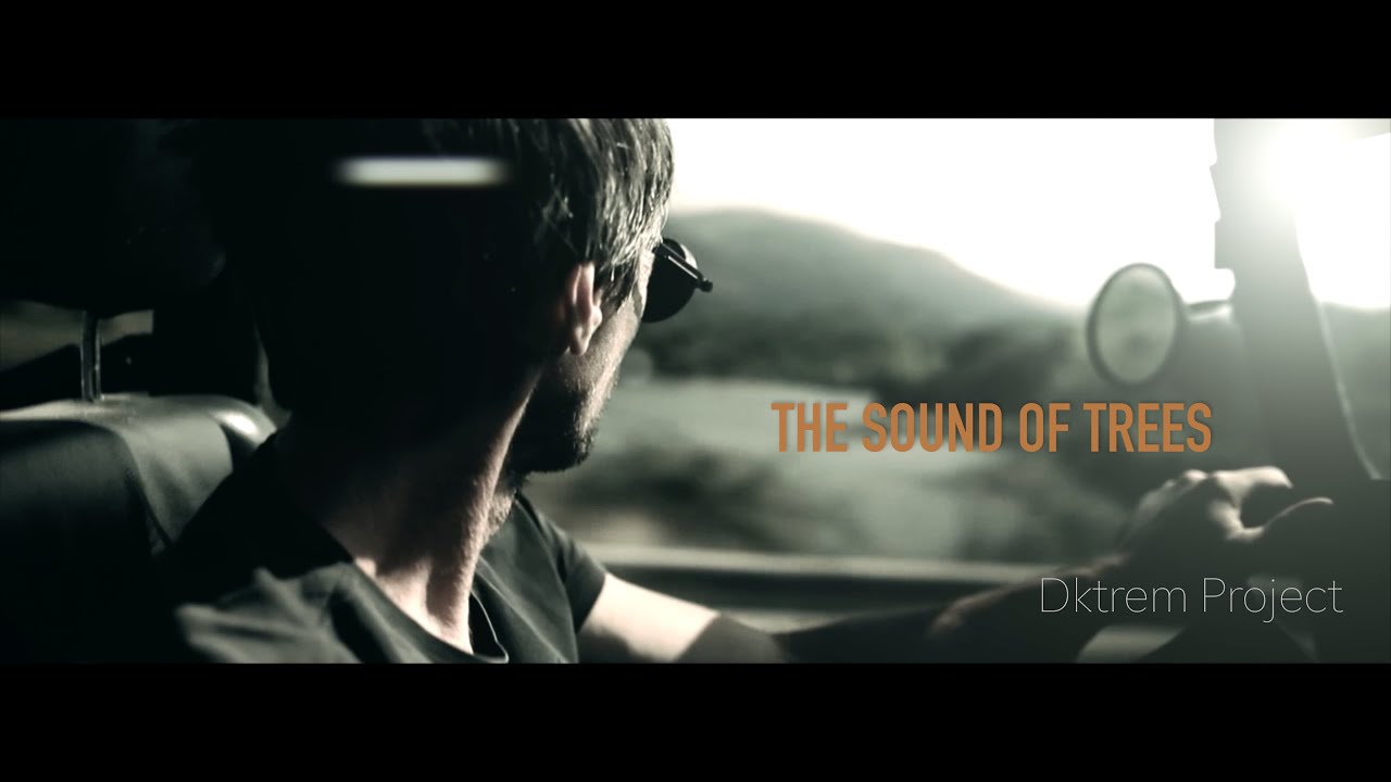The sound of trees / Dktrem project - YouTube