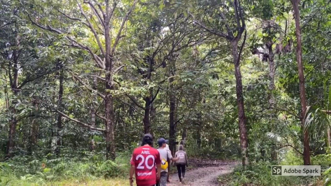 Giam Bakam Waterfall, Miri Sarawak - YouTube