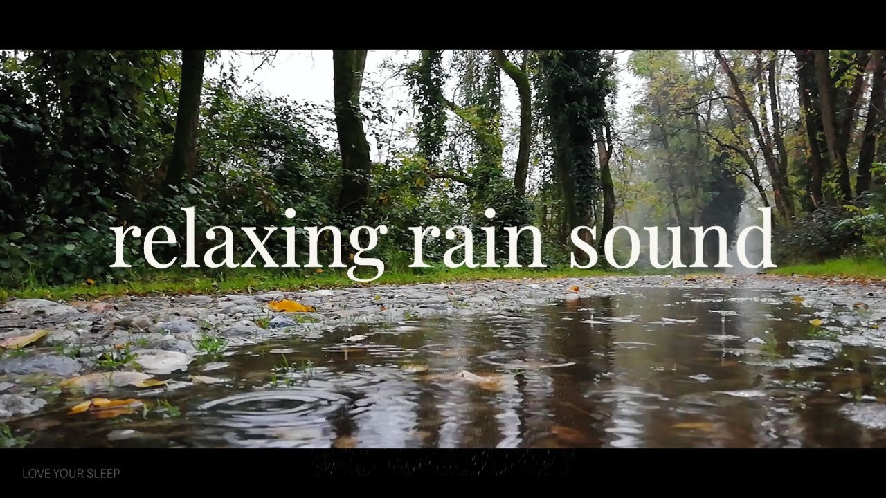10H Relaxing rain sound in the late fall for sleep, stress relief soft ...