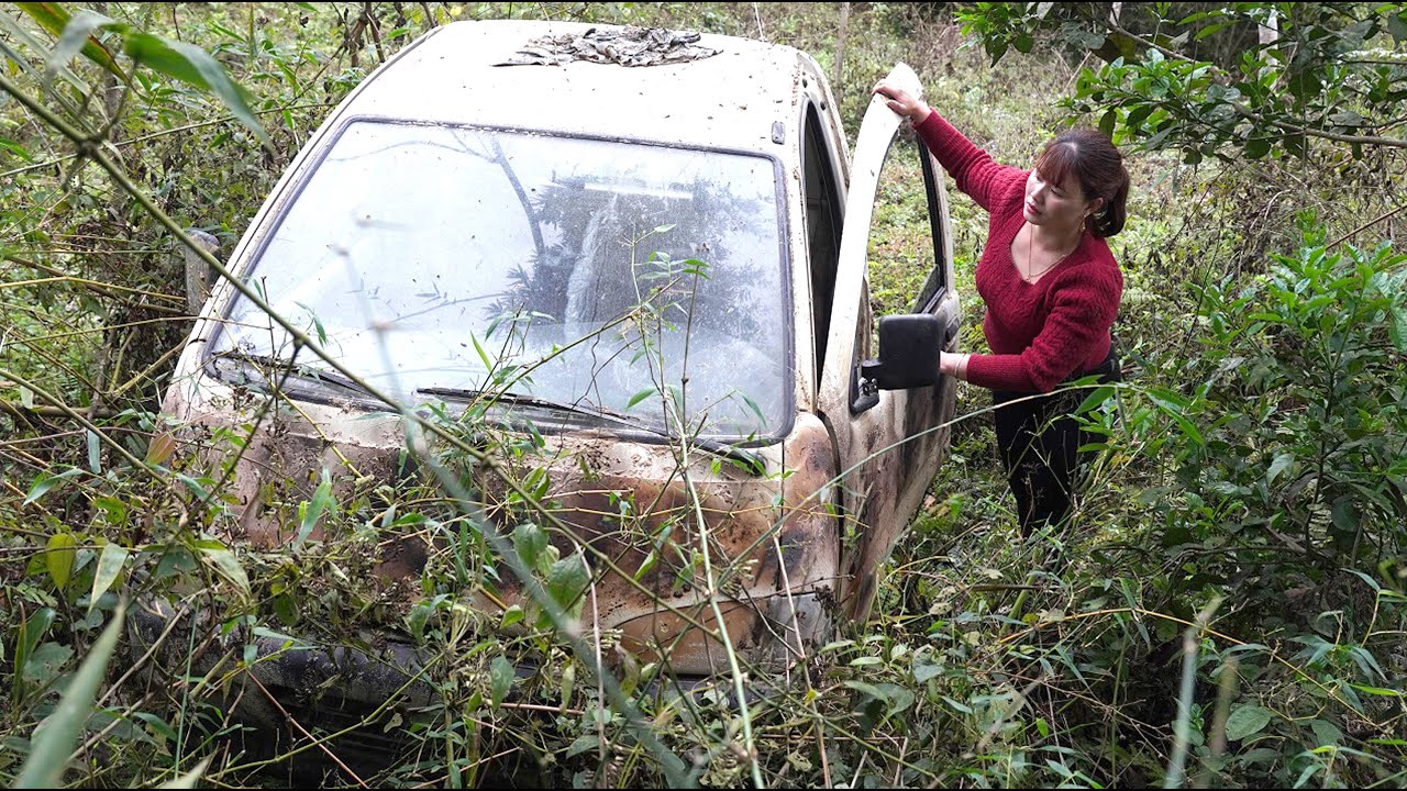 The Girl Finds Decayed Truck Stuck in A Bamboo Clump - REPAIR and ...