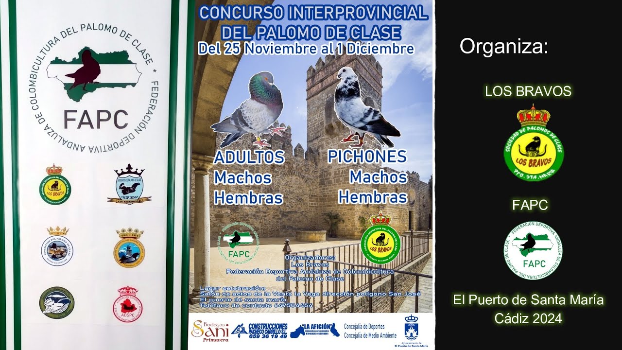 Palomos de Clase FAPC 2024 | Ganadores Interprovincial - YouTube