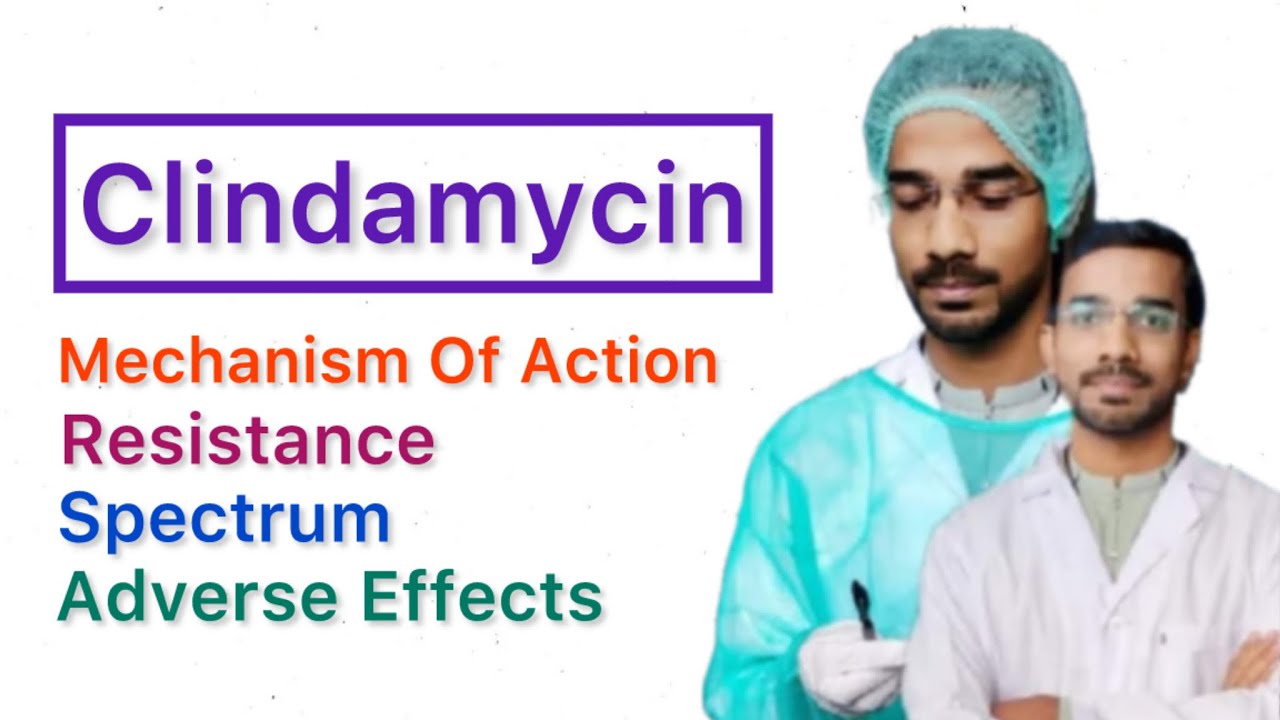 Clindamycin | Mechanism | Resistance | Spectrum | Adverse Effects - YouTube