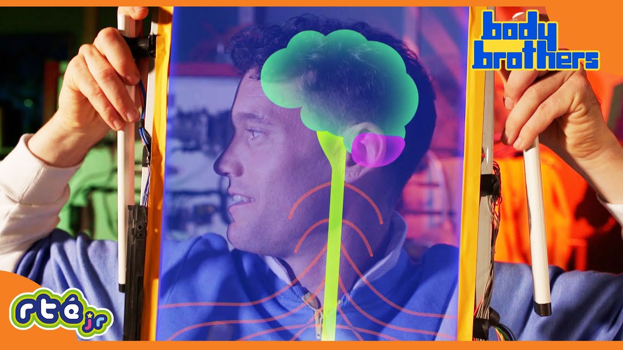 Body Brothers | How Does Your Brain Work? 🧠 | RTÉjr - YouTube