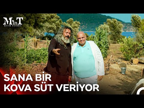 Mustafa Ali'den Cavit Bey'e Hayat Dersi... - Mandıra Filozofu