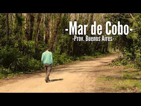 Mucha gente elige este pueblo costero para vivir | Mar de Cobo y La Caleta, prov. de Buenos Aires