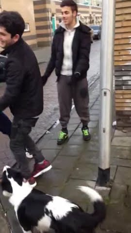 Pole Prank xD - YouTube