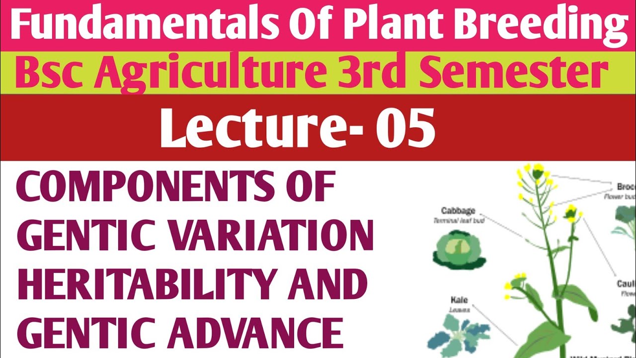 Plant Breeding Lecture-05 Bsc Agriculture 3rd Semester Components of ...