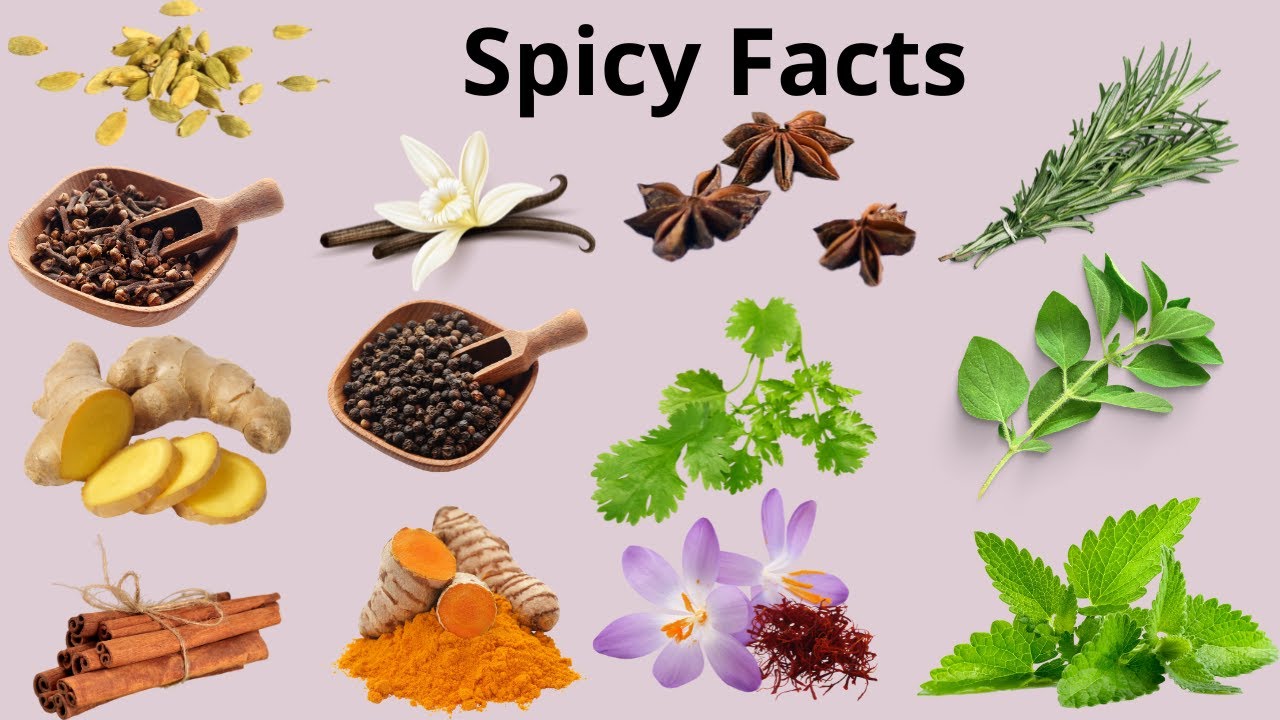 Learn Spicy Facts: A Kid's Guide to Spices | Educational Video by Kids ...
