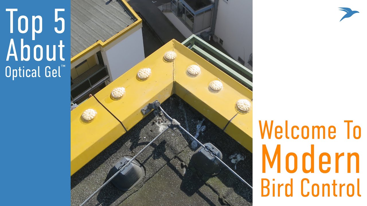 5 Things - Optical Gel Overview - YouTube